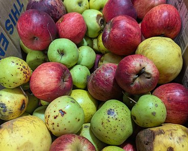 Products - stillwagondistillery.com