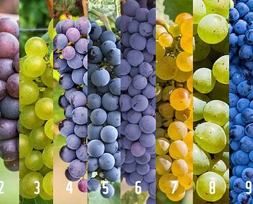 Products - stillwagondistillery.com